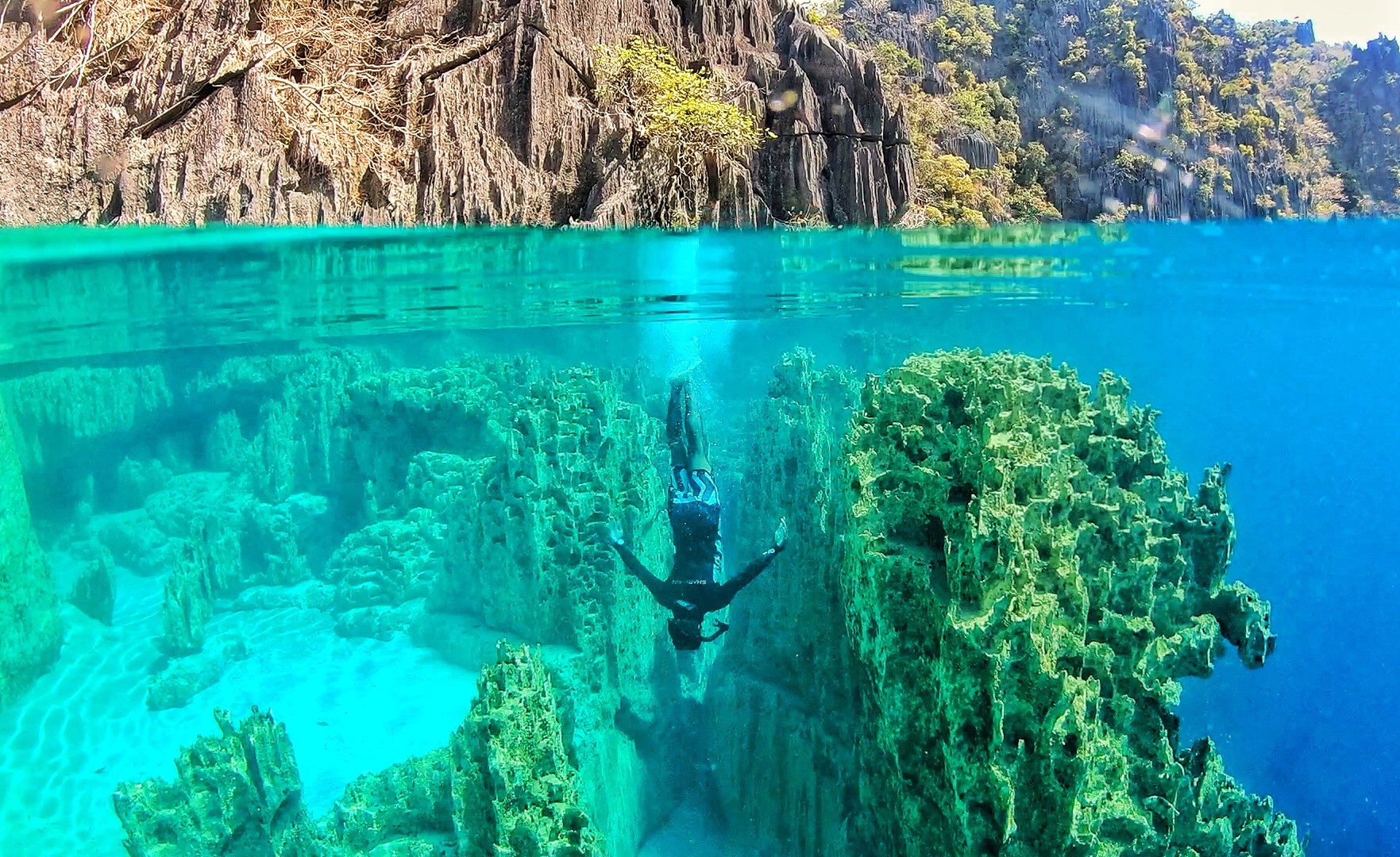 The different colors of the ocean (from water to fish)