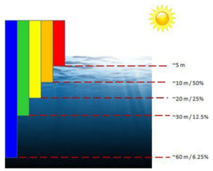 The different colors of the ocean (from water to fish)